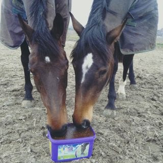 Paddock Likit | Likit Horse Treat & Toy | Equine Boredom Relief
