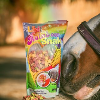 Rainbow Likit Snaks | Likit Horse Treat & Toy | Low Sugar