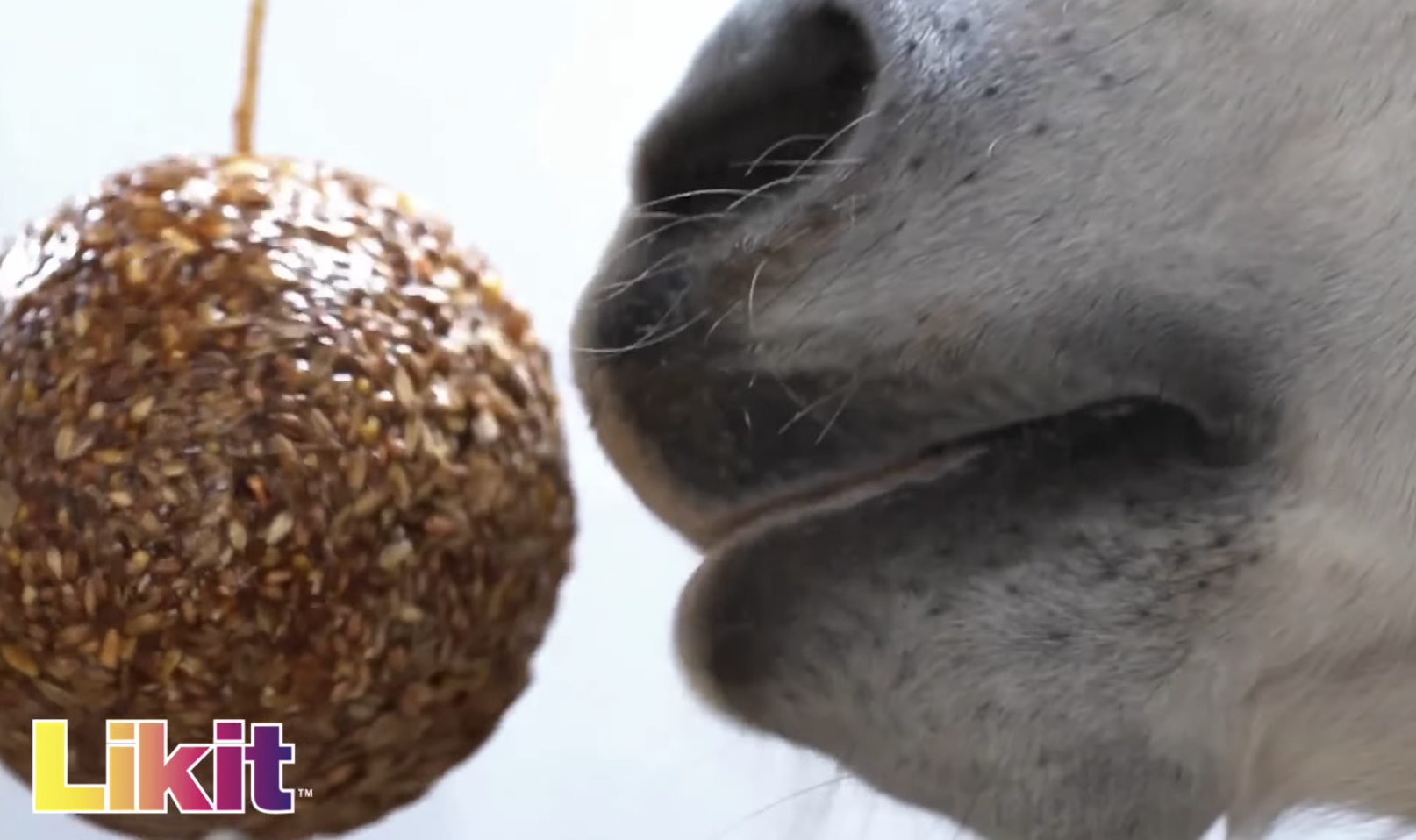 Likit Horse Treats & Toys | Equine Boredom Relief & Treats
